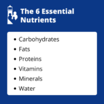 What Are the 6 Essential Nutrients: Decoding a Balanced Diet