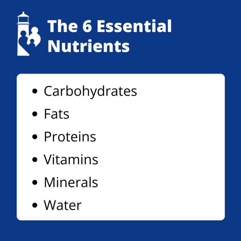 What Are the 6 Essential Nutrients: Decoding a Balanced Diet