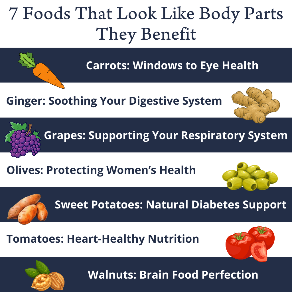 Nature’s Blueprint: 7 Foods That Look Like the Body Parts They Heal